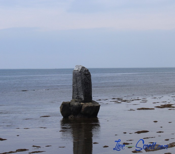 Water Monument Live Swell Surf Vacation Shonan Japan-imp | Live Swell
