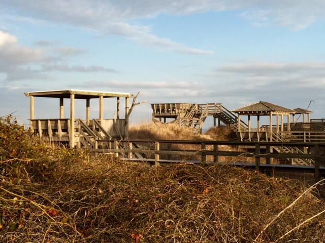 Beach Decks OBX | Live Swell