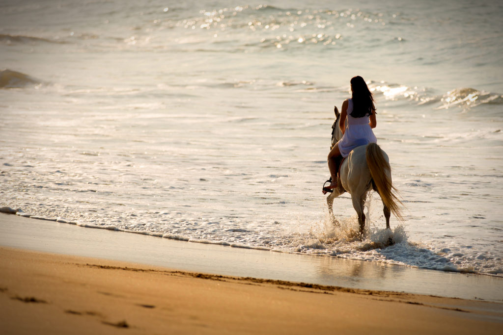 What is OBX – top off the beaten path OBX things to do | Live Swell