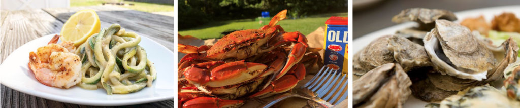 Live Beach Cam | Live Swell